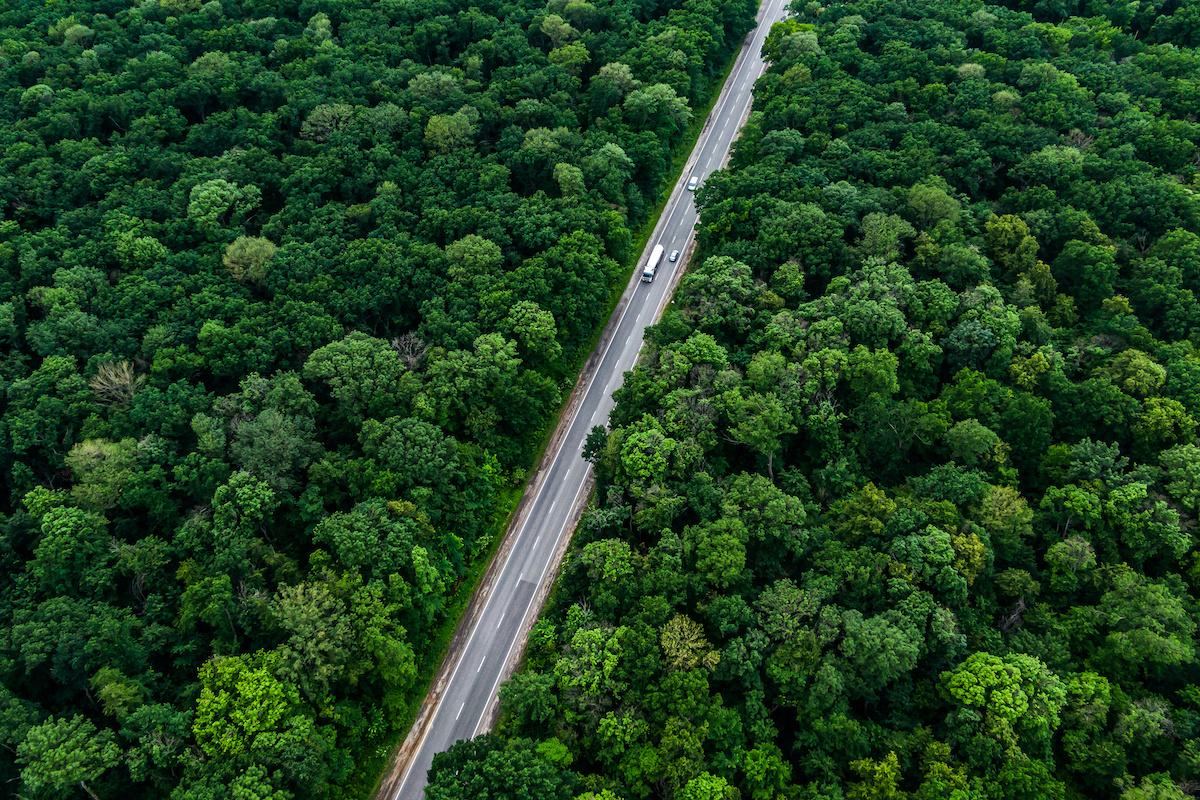 Smog-Check para el automóvil: ¿cómo hacerlo? | Trámites USA